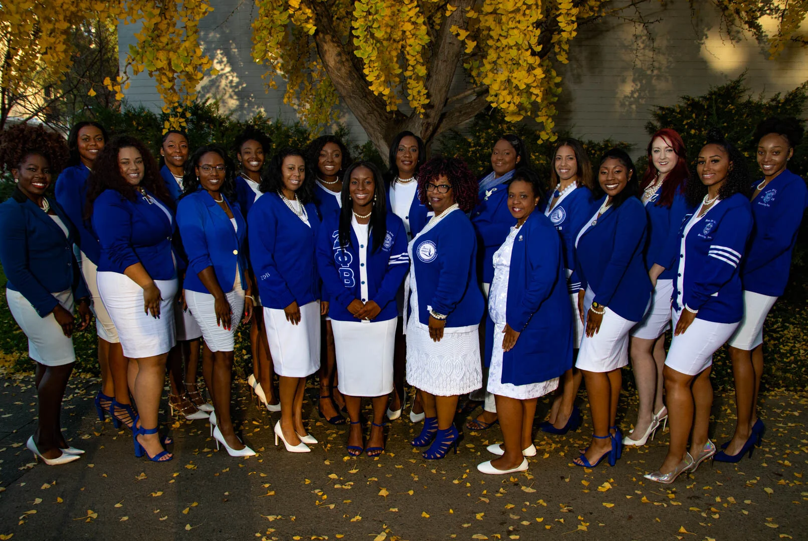 Zeta Phi Beta Sorority Incorporated