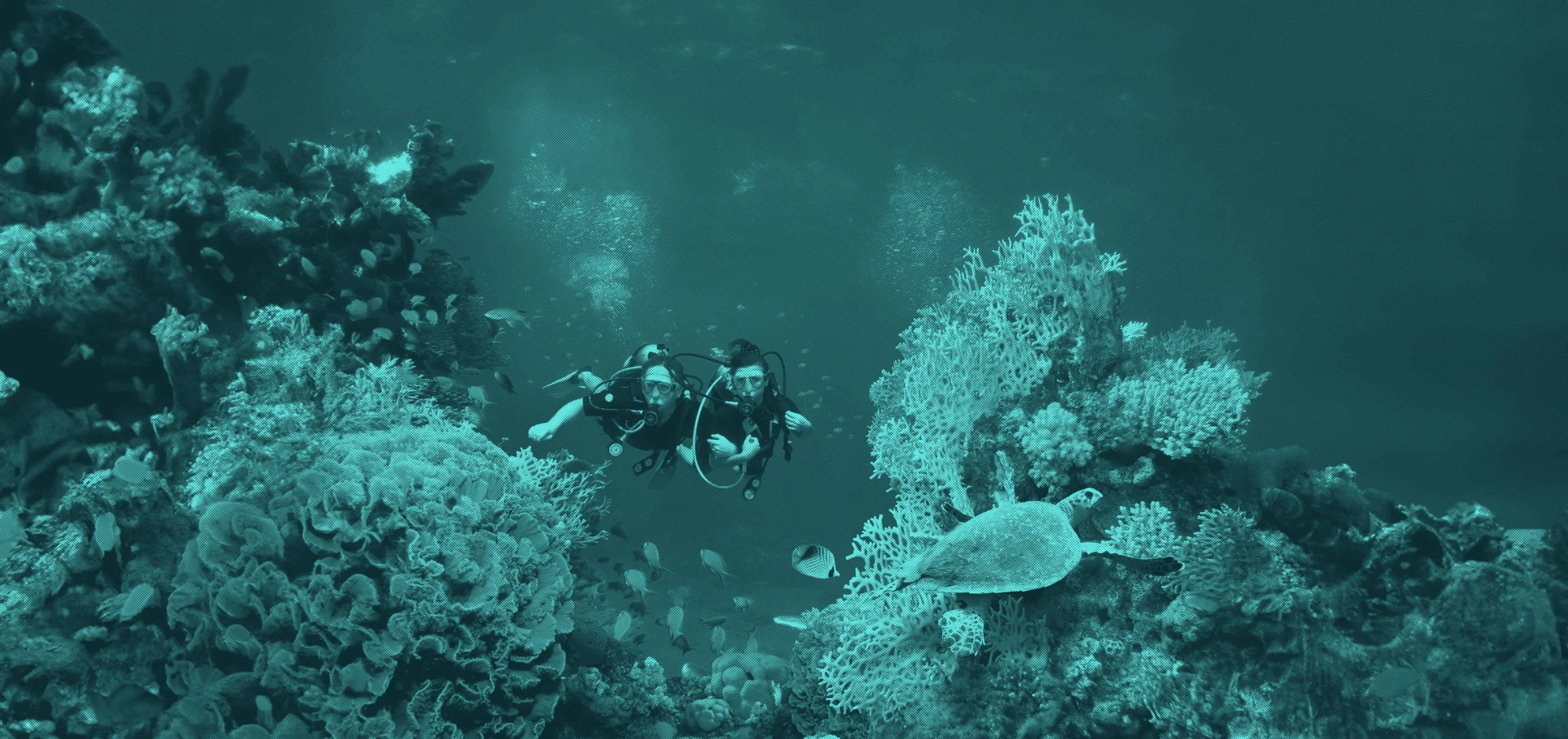 XS Scuba - Everything For The Perfect Dive