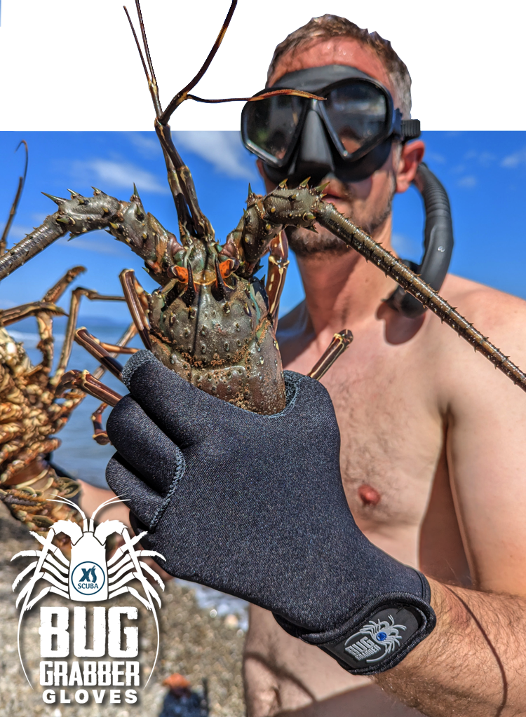 XS Scuba - Everything For The Perfect Dive
