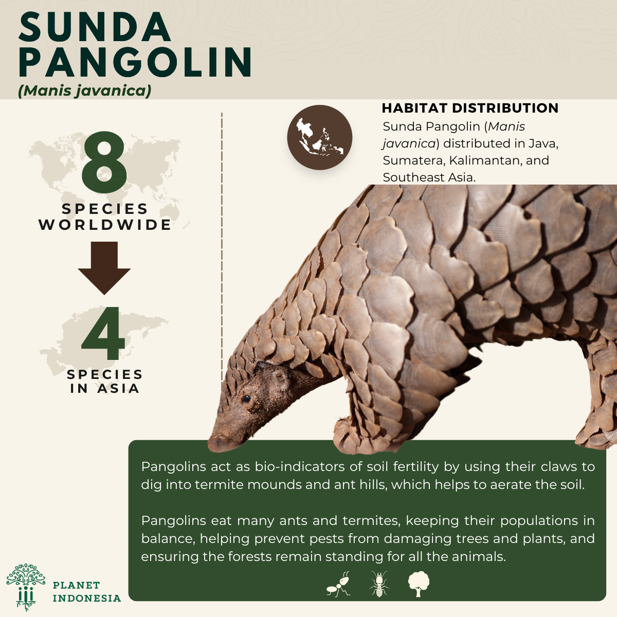 The Realities of Community-Led Conservation in Protecting Pangolins ...
