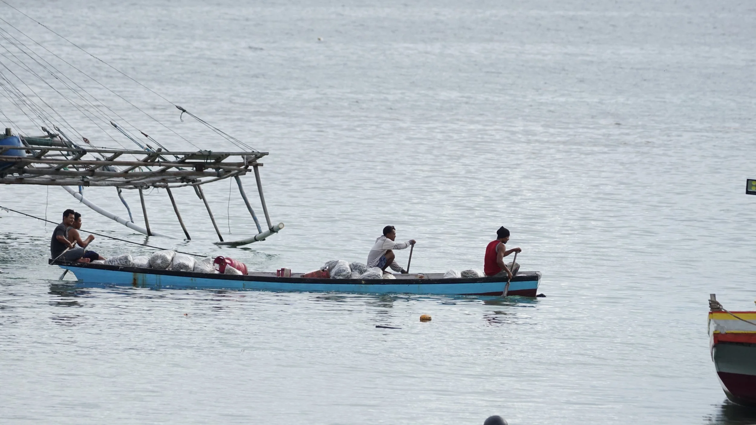 10 years of FAO SSF Guidelines; What does it mean for Planet Indonesia? — Planet Indonesia