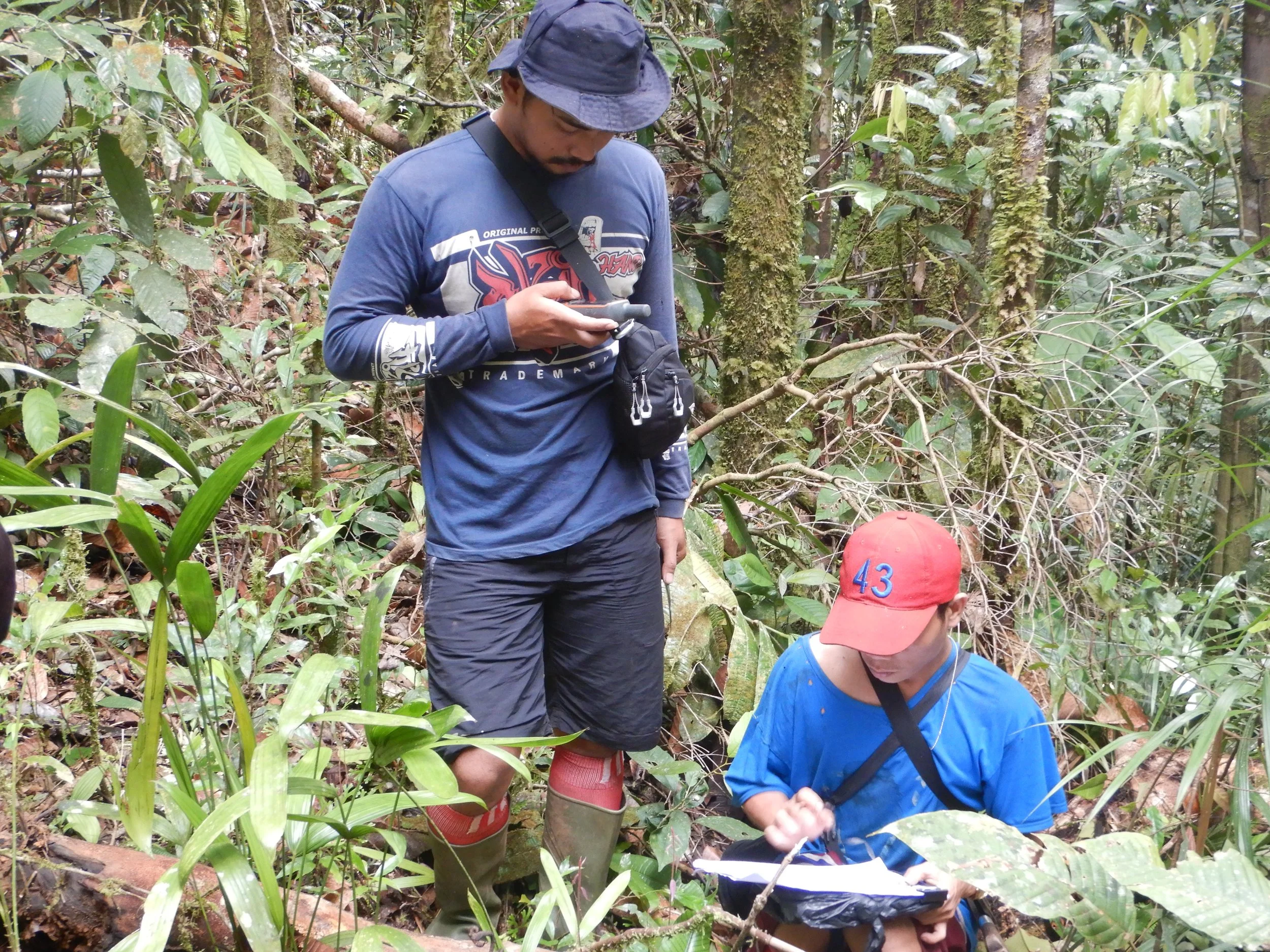 The Realities of Community-Led Conservation in Protecting Pangolins ...