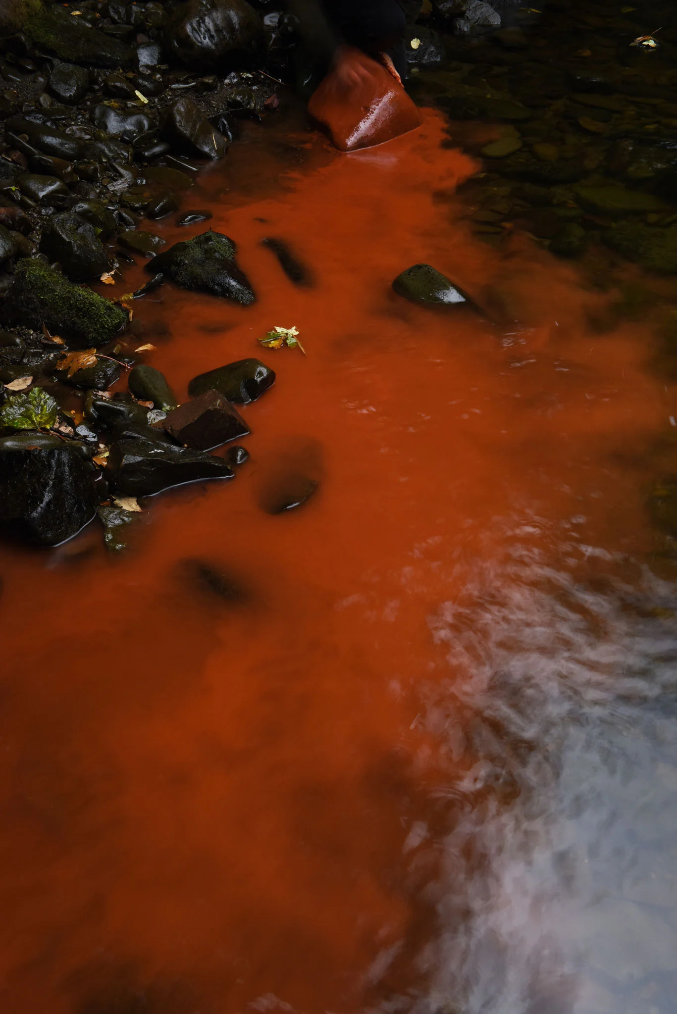 Andy Goldsworthy Water