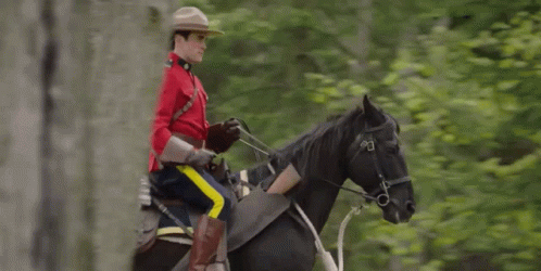 Celebrating Canadian contributors on I Read Canadian Day 2022 — BookNet ...