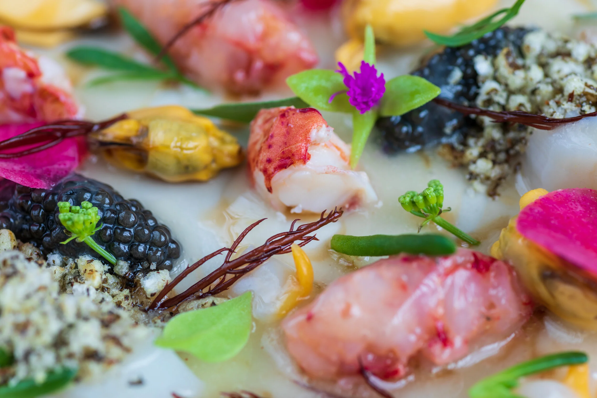 Opnieuw een ⭐️Michelinster voor restaurant Calla's in Den Haag — Zoek ...