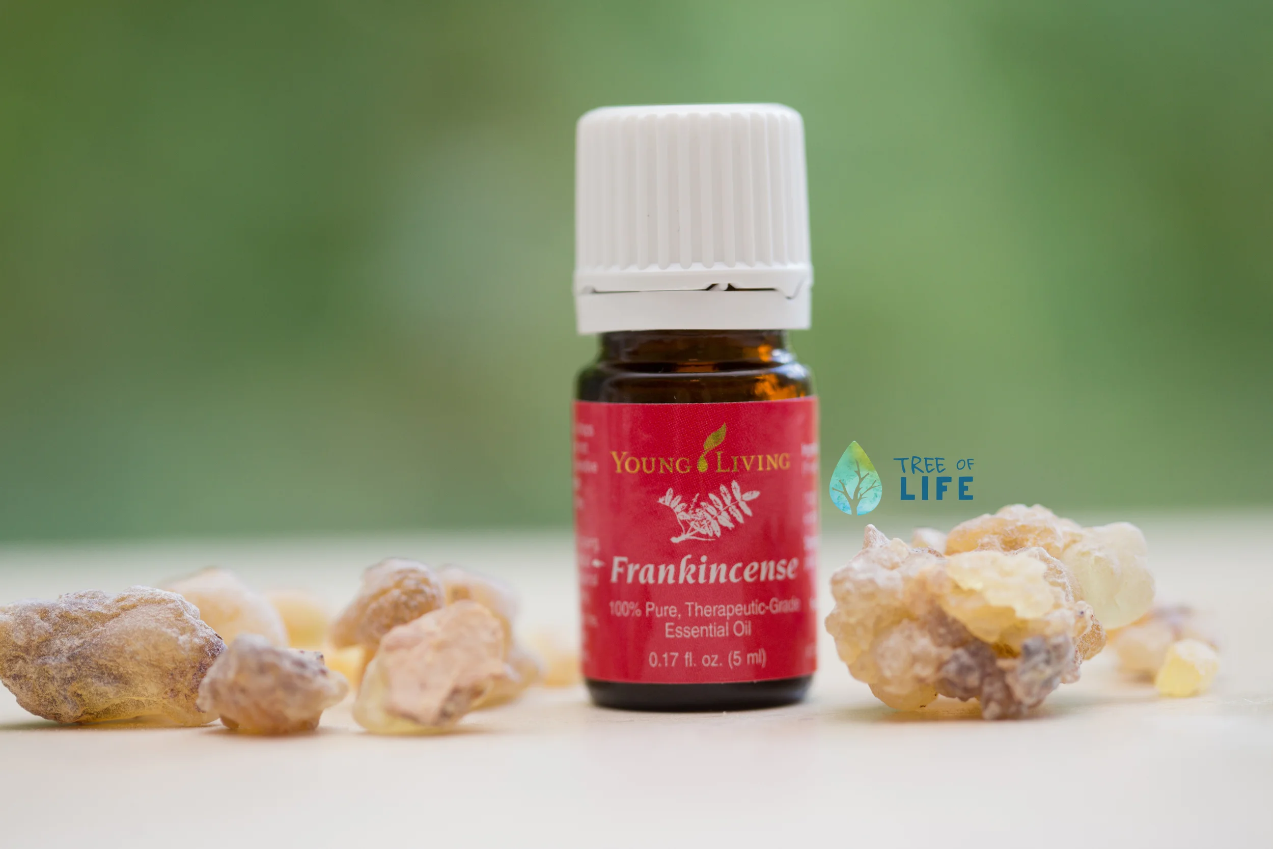 Oil of the Week: Frankincense (Boswellia carterii) — Tree of Life
