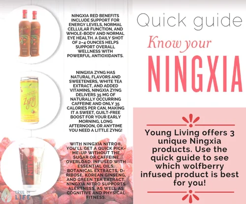 NingXia Red Review Week 1: Know Your Ningxia — Tree of Life