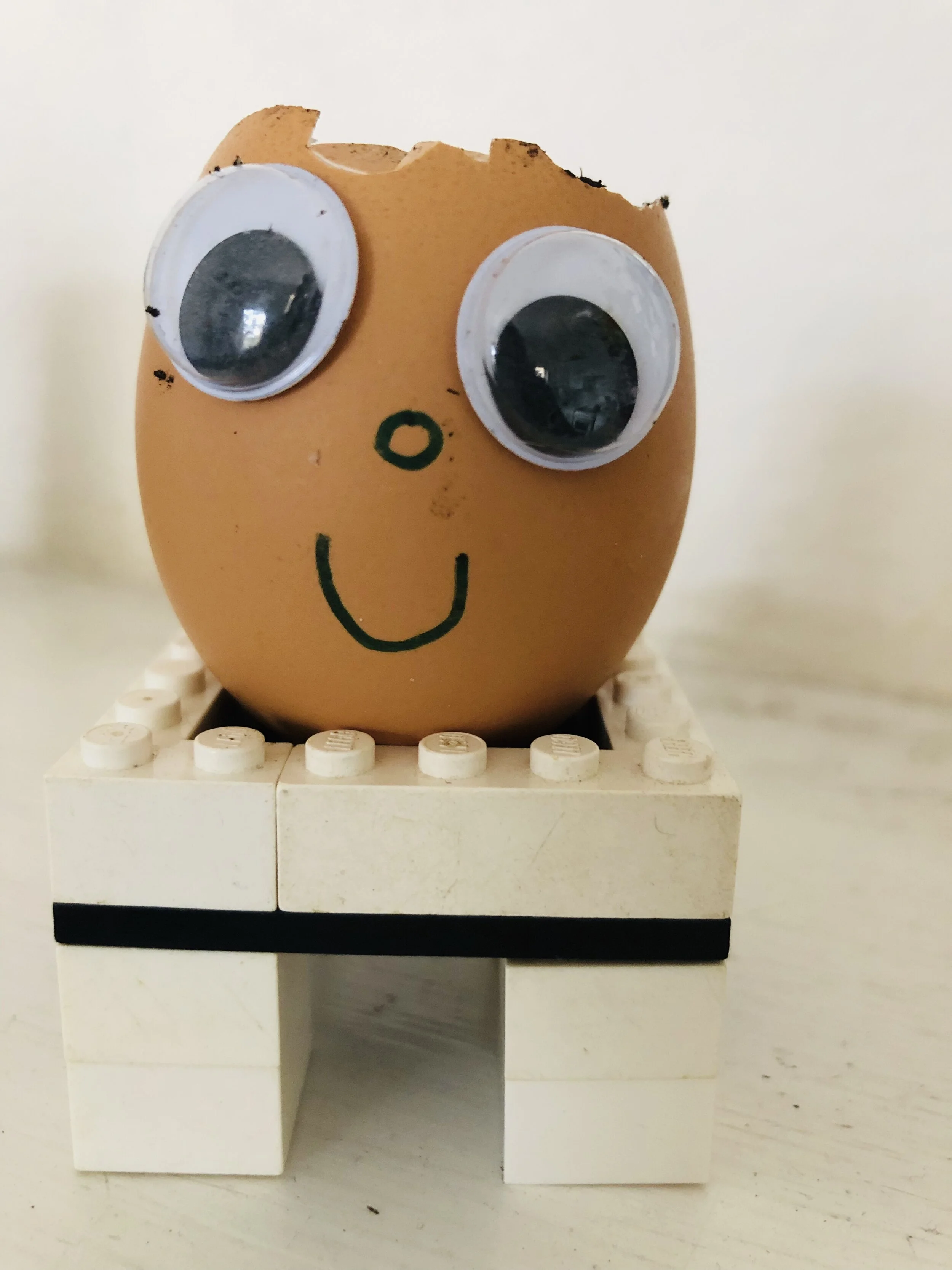 Cress Egg Heads — Nature Nurture Sussex