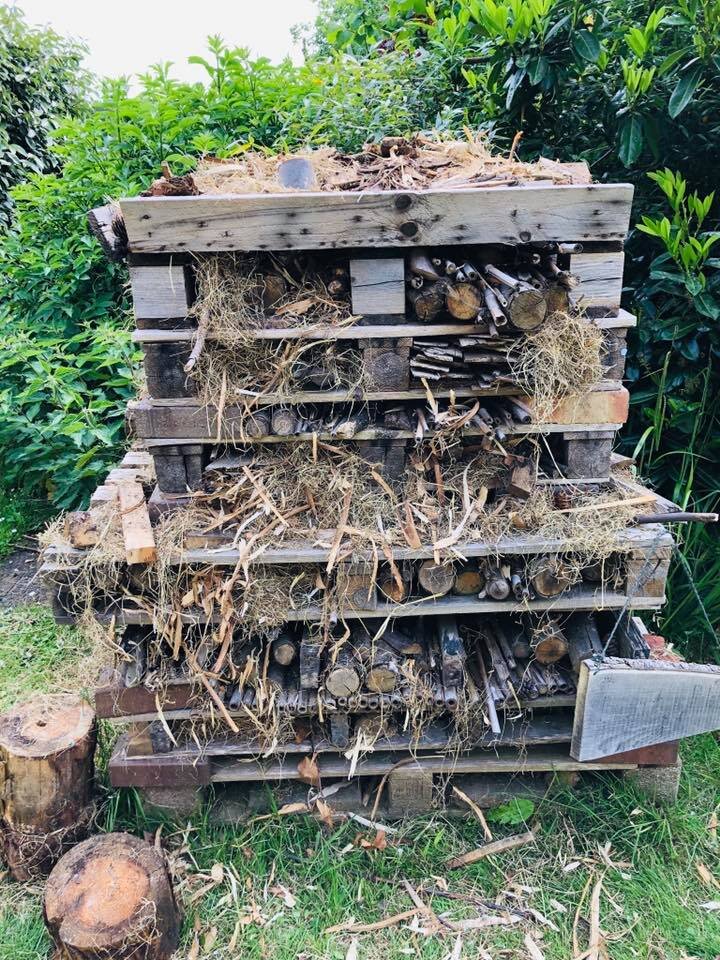 Mini-Beast Hotel — Nature Nurture Sussex