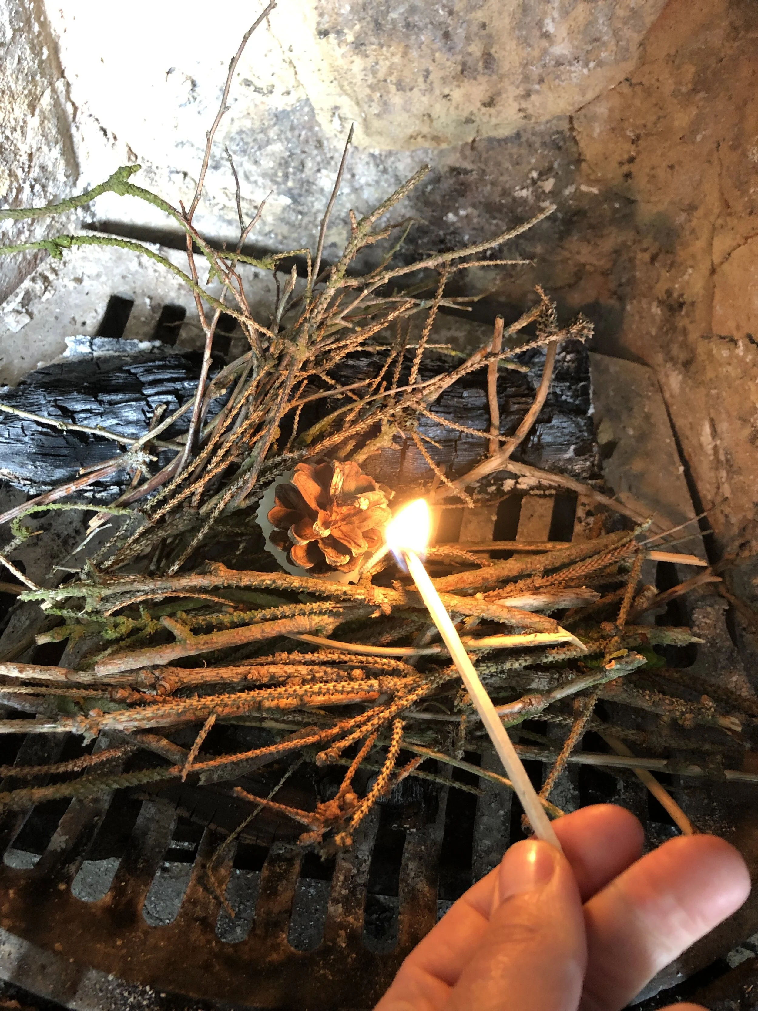 Pine Cone Fire Lighters — Nature Nurture Sussex