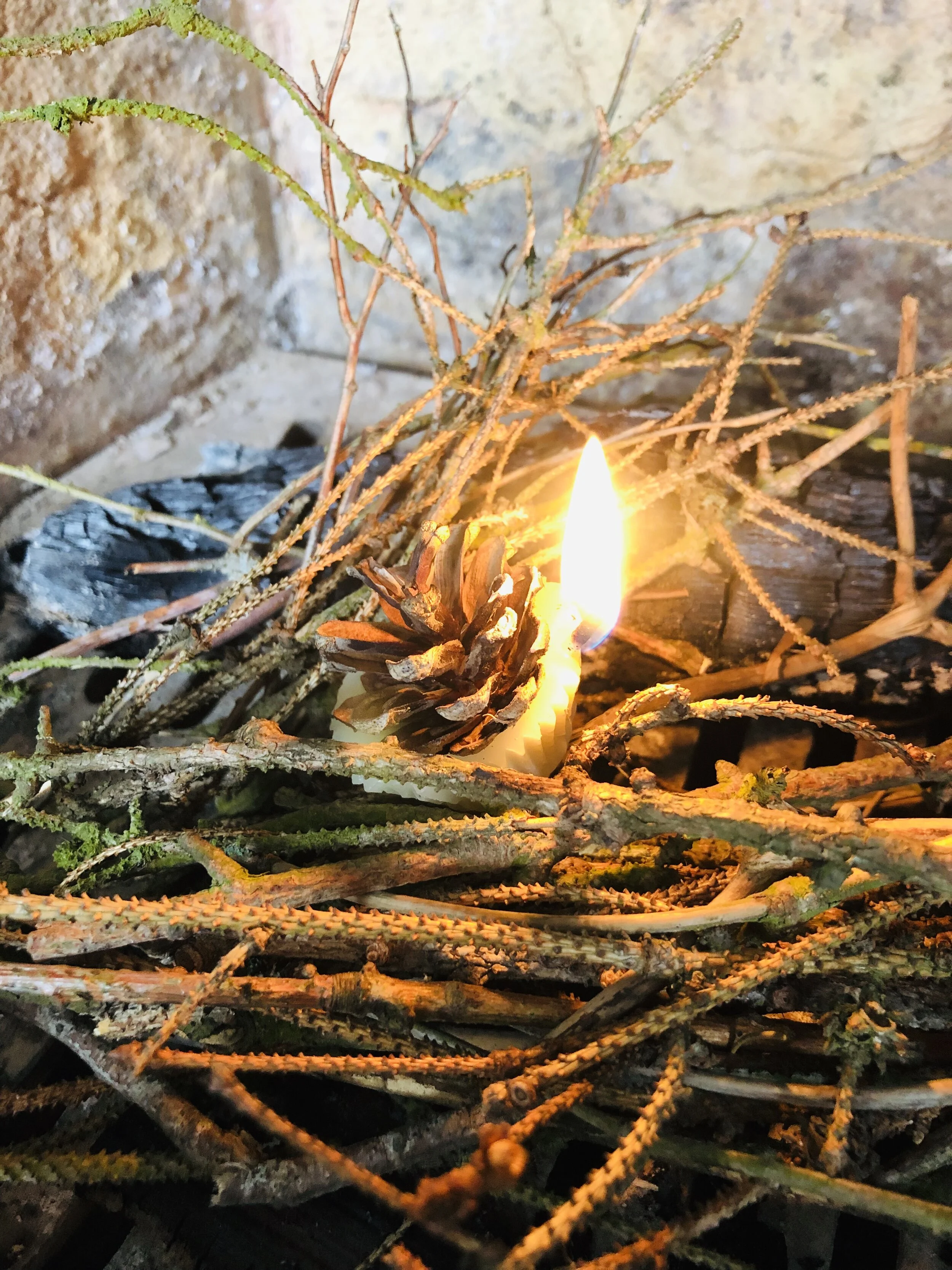 Pine Cone Fire Lighters — Nature Nurture Sussex