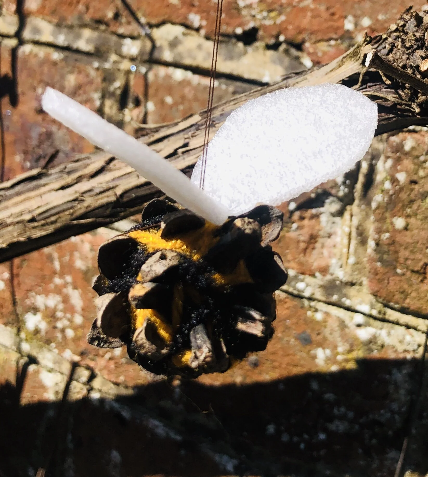 Pine Cone Bumblebees — Nature Nurture Sussex