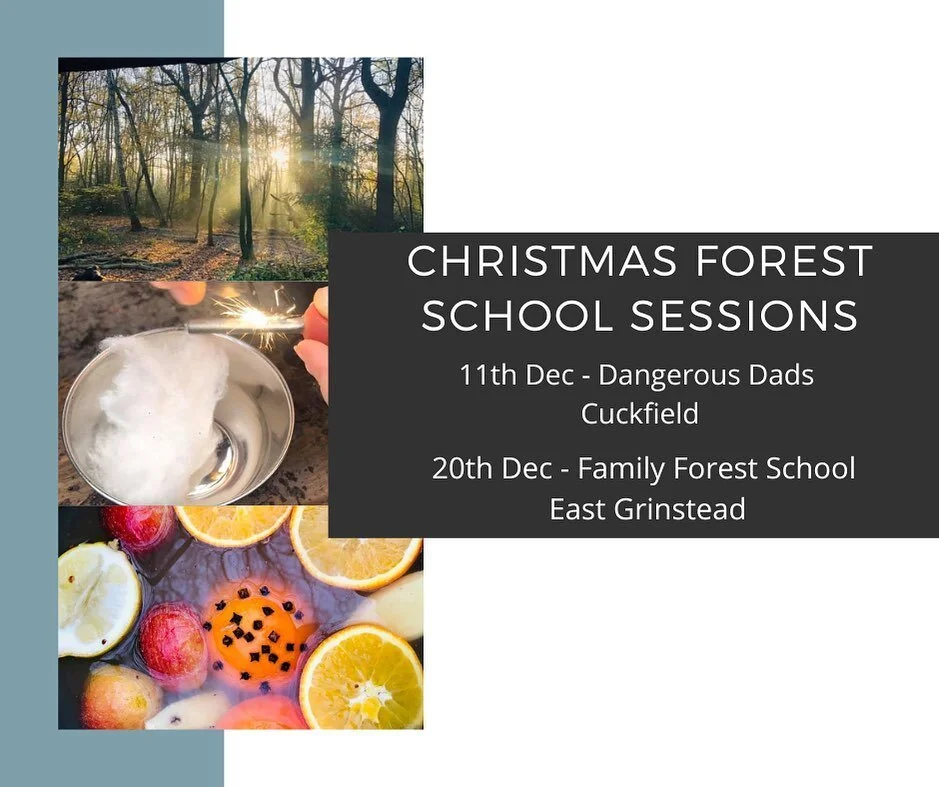 Dragonflies & Teen SEND Forest School — Nature Nurture Sussex