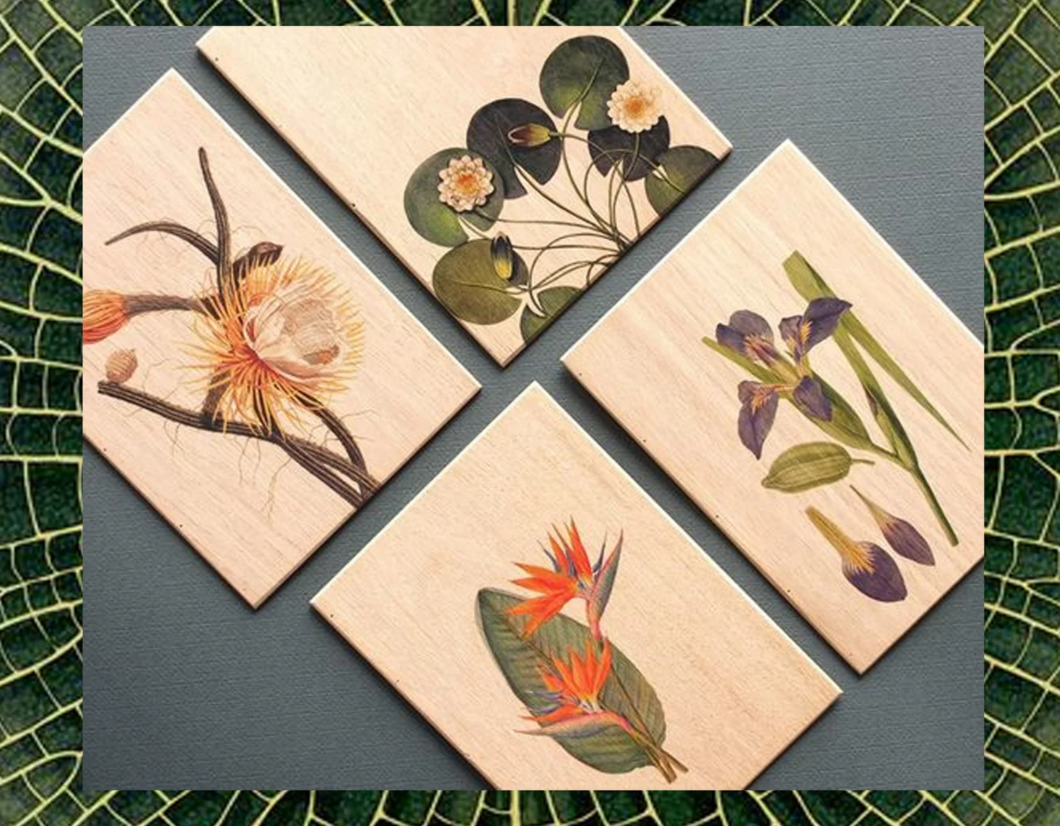 Botanical Inspiration — Martine Claessens