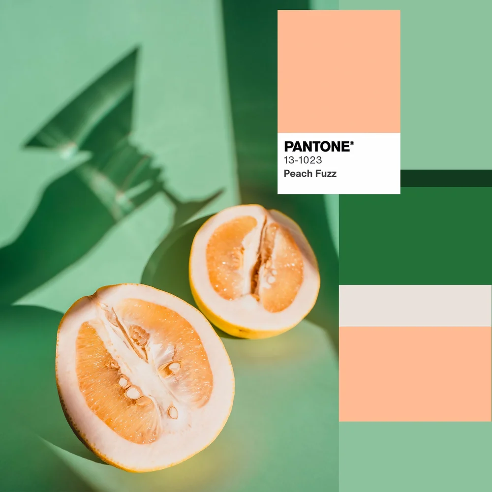 Pantone's Color of the Year: Peach Fuzz — Martine Claessens