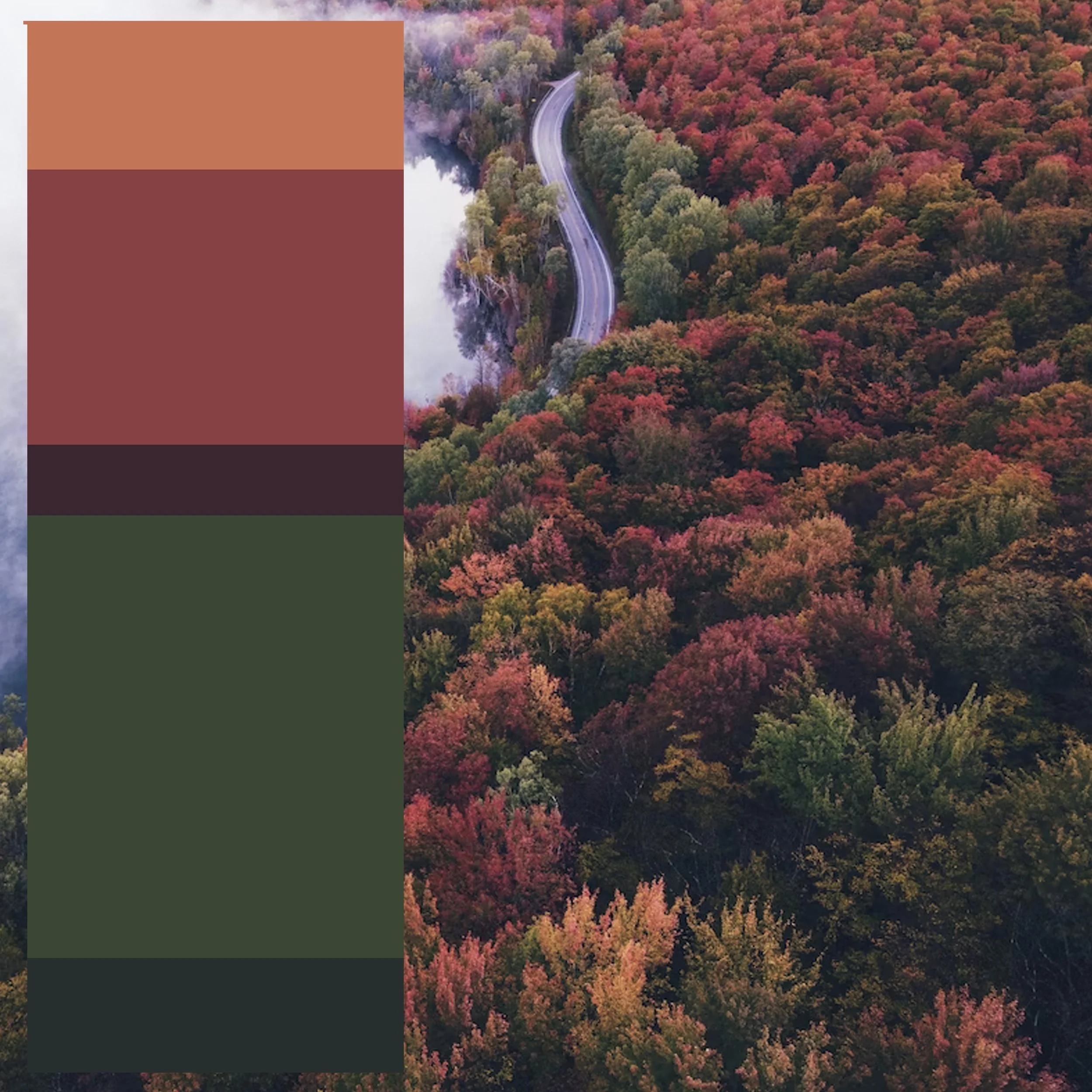 What are the Best Colors for Autumn — Martine Claessens