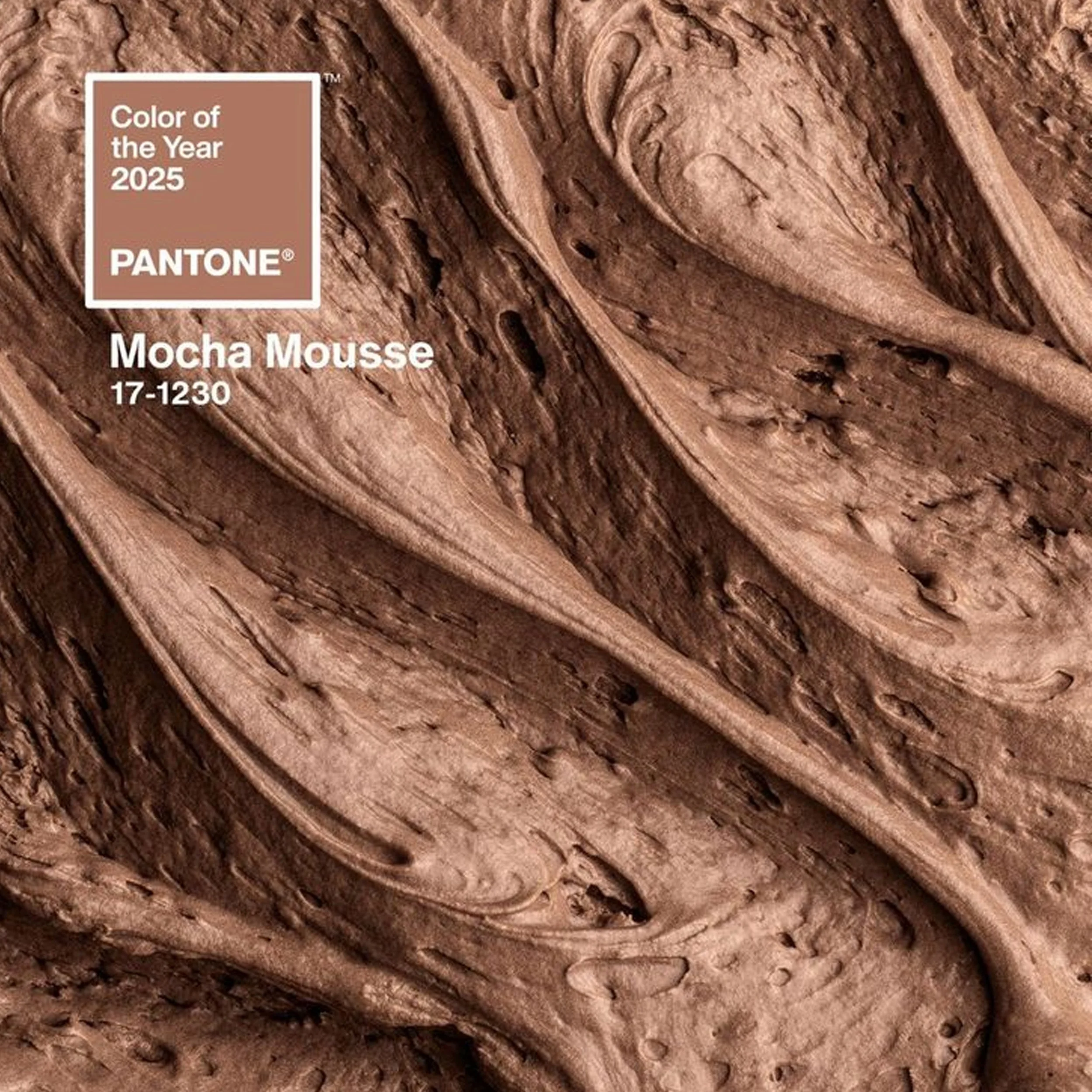 Mocha Mousse - Pantone's color of the year 2025 — Martine Claessens