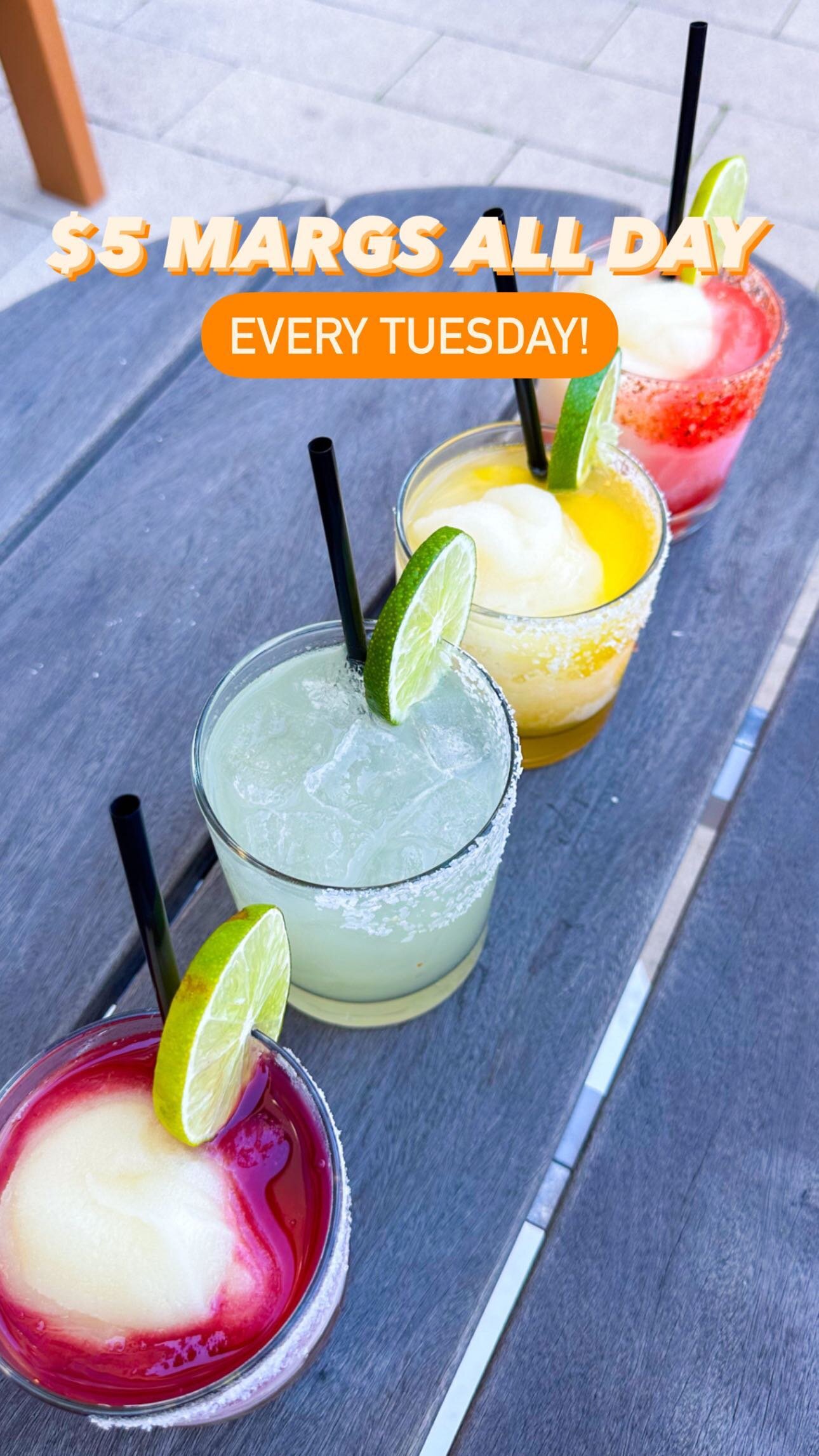 TRICKY FISH - DALLAS, TEXAS