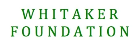 Yayoi Kusama: Narcissus Garden — Laumeier Sculpture Park