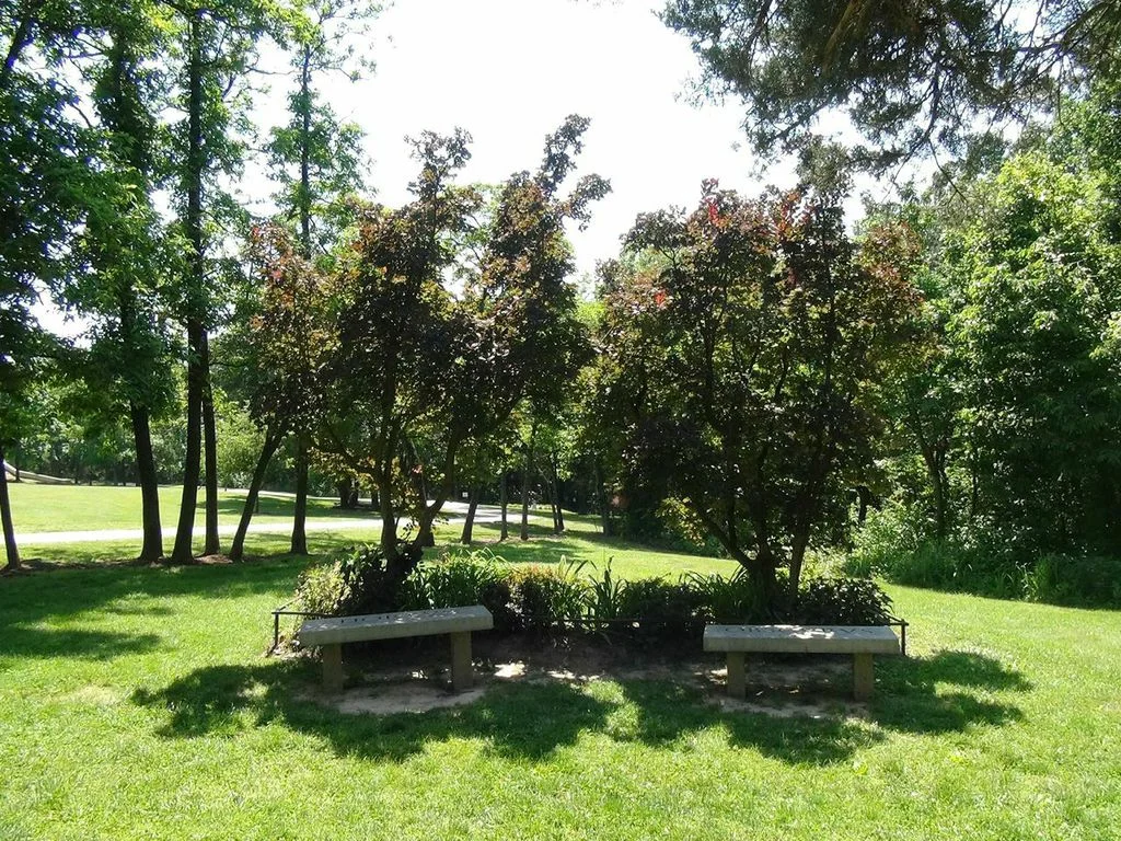 Frances Whitehead — Laumeier Sculpture Park