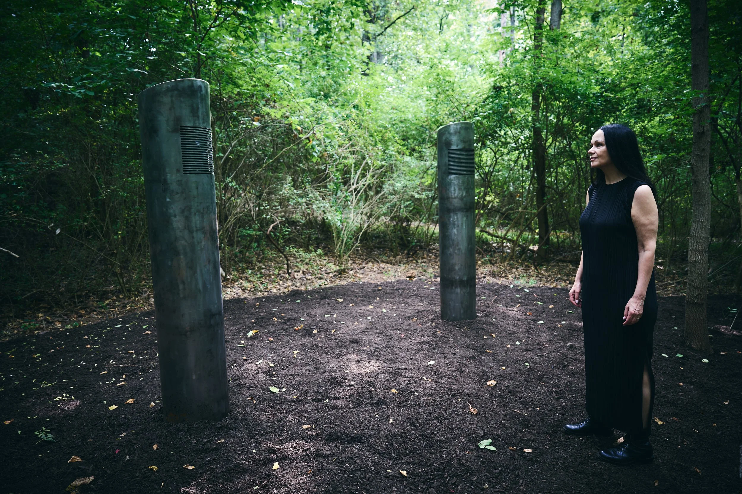 Laumeier Sculpture Park, Saint Louis, Missouri