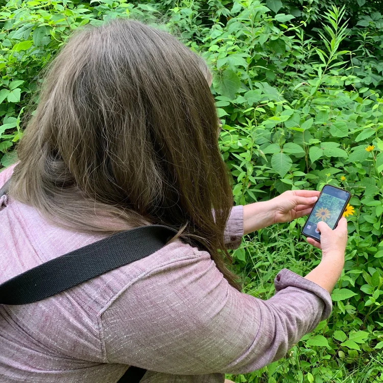 Biodiversity Project — Laumeier Sculpture Park