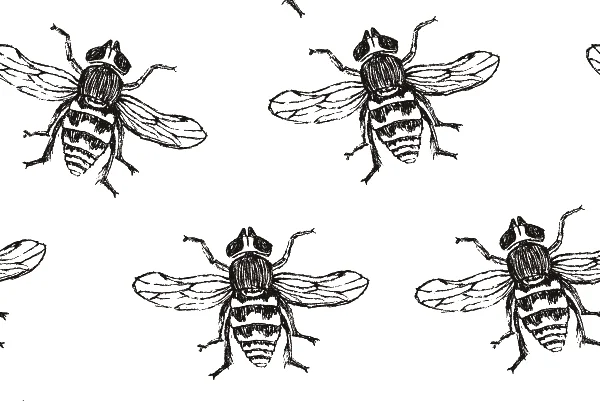 The Bee Line — BEELINES