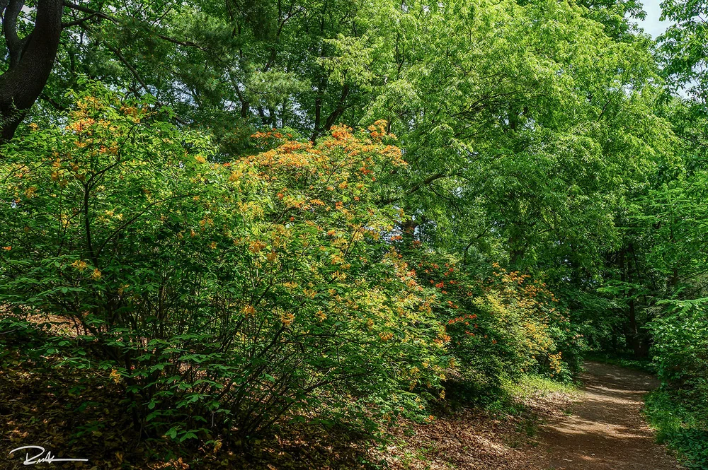 Escaping Boston to Explore its Green Surroundings — Unknown and Away