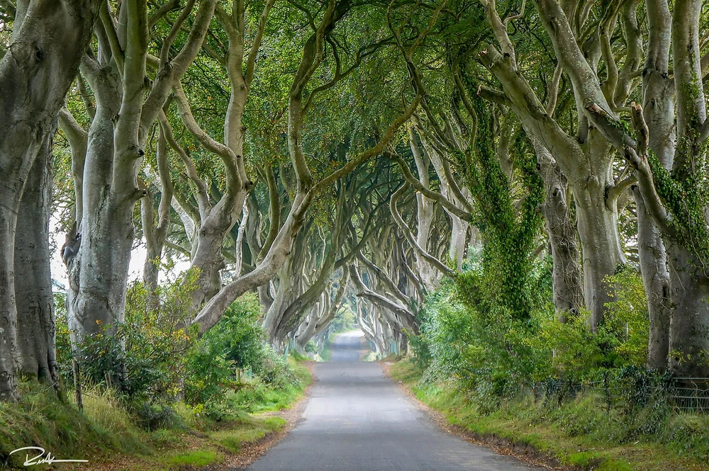 Exploring the Antrim Coast: Our Top Things to See Near Giant's Causeway ...