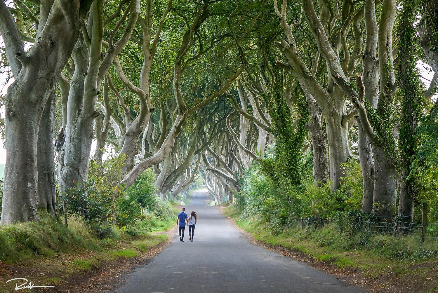 Exploring the Antrim Coast: Our Top Things to See Near Giant's Causeway ...
