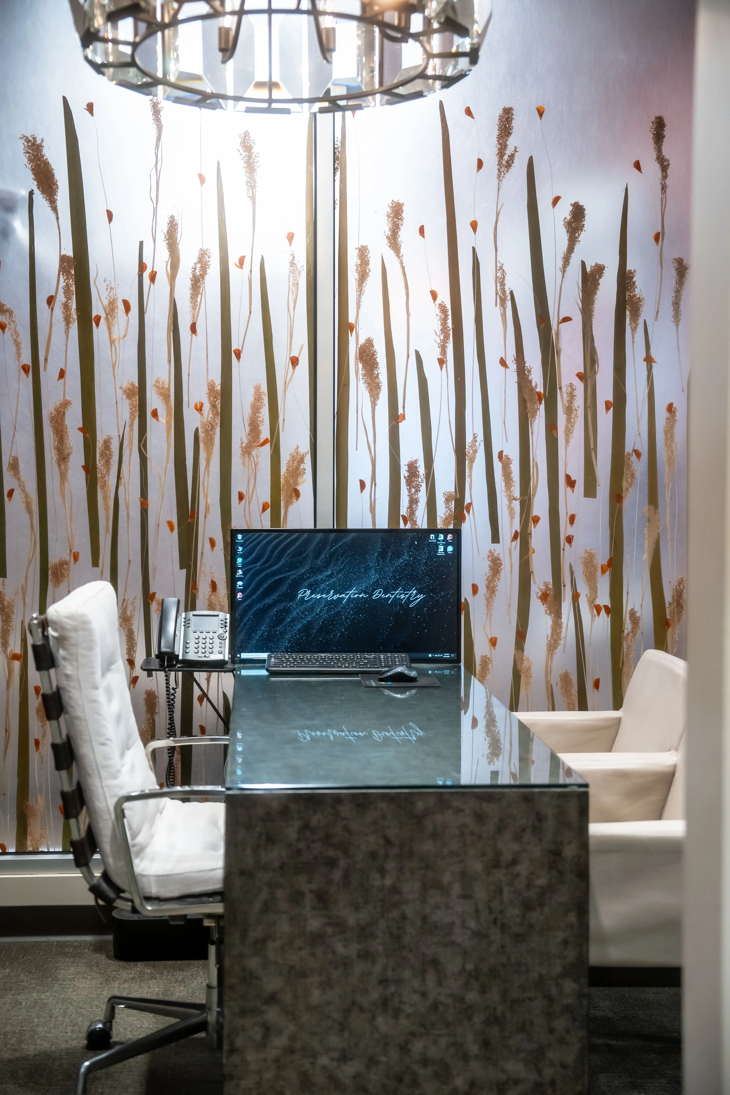 Preservation Dentistry – Dr. Steven Trieu, DMD