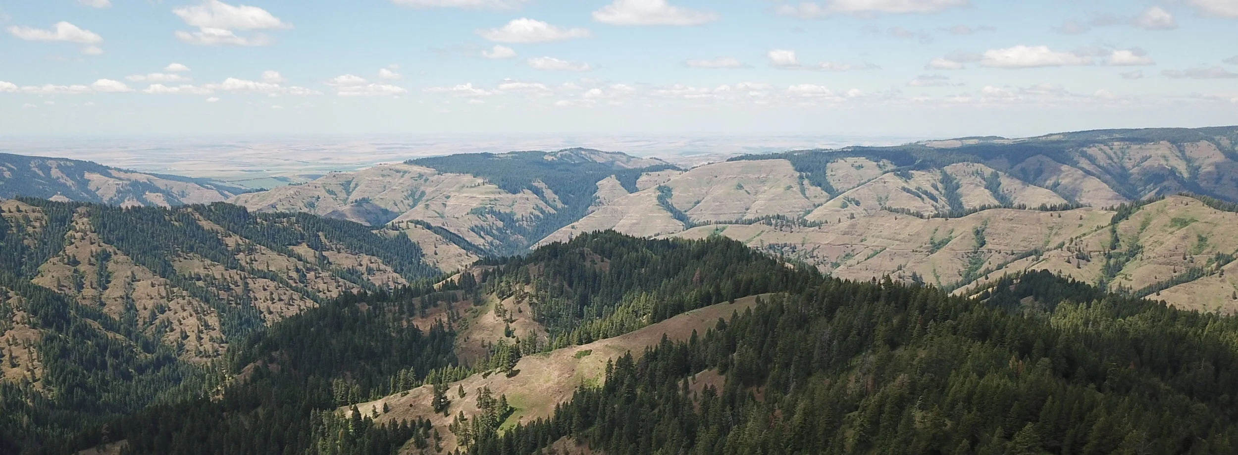 Tiger Ridge Trail (USFS #3224) — Blue Mountain Land Trust