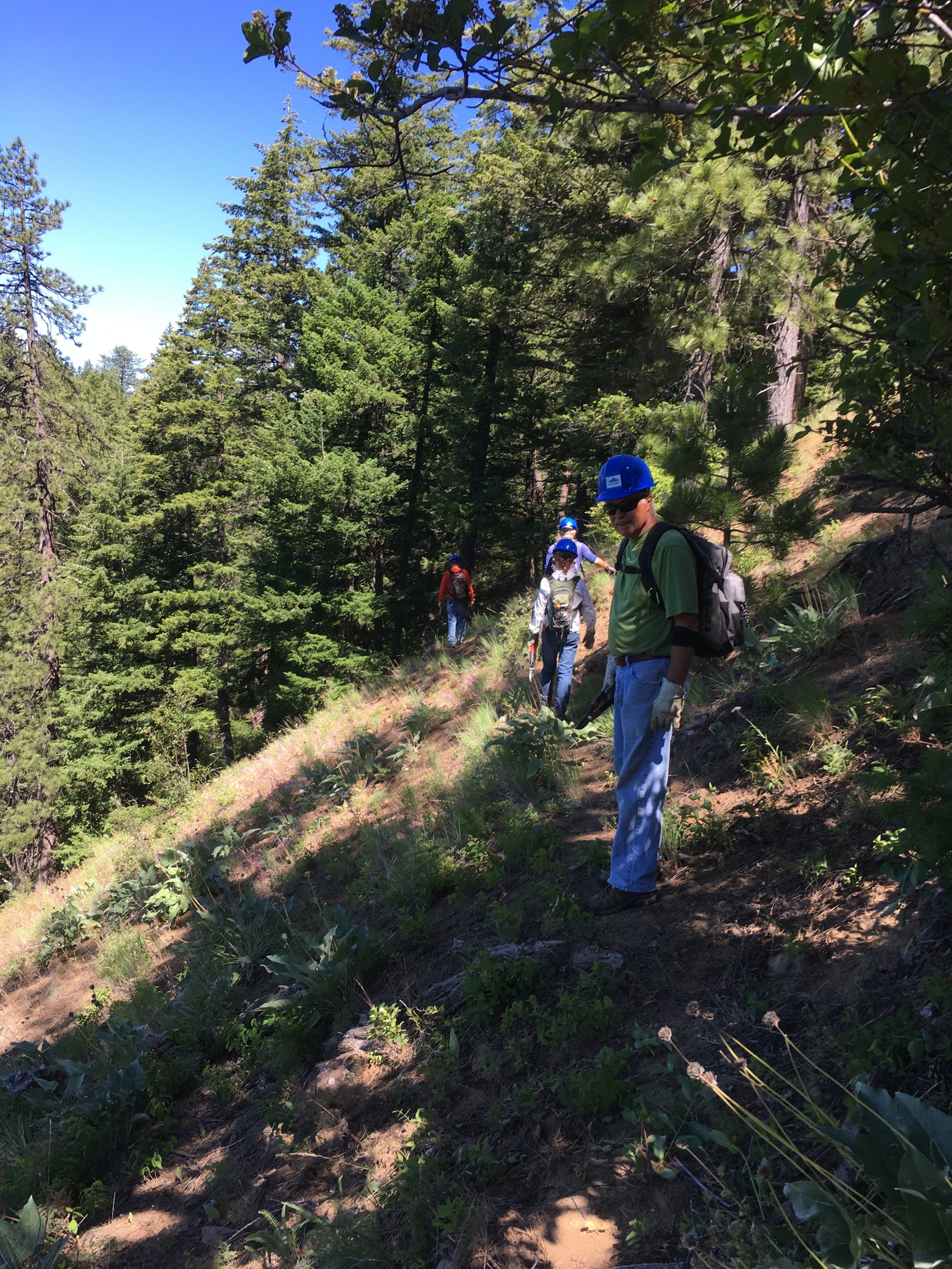 Tiger Ridge Trail (USFS #3224) — Blue Mountain Land Trust