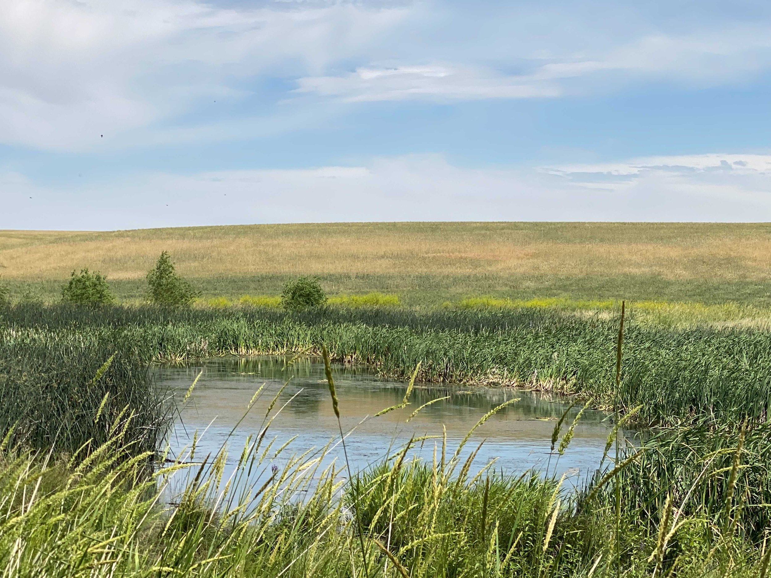 Rising Leaders: Leander Swan — Blue Mountain Land Trust