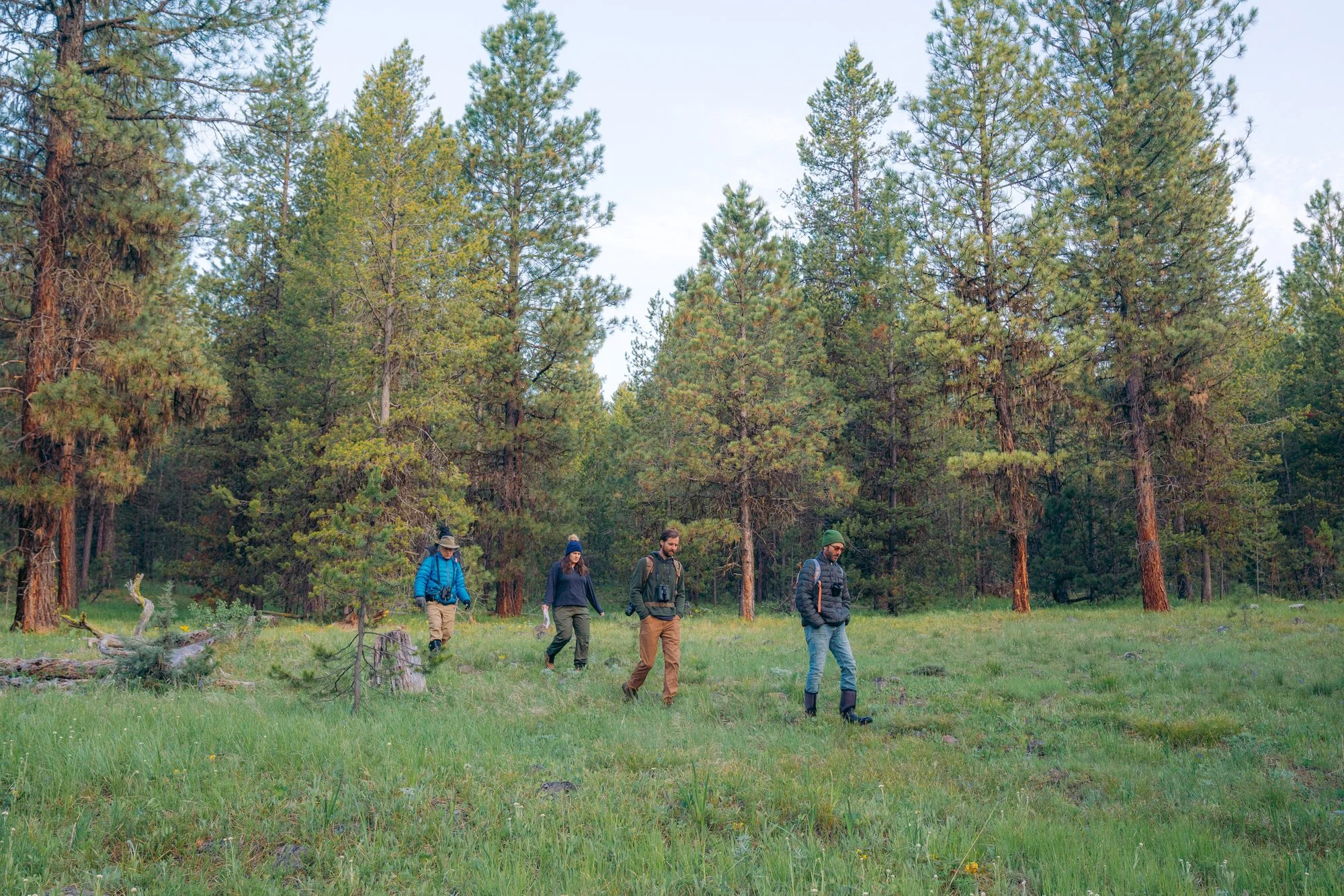 Help shape Learning on the Land events — Blue Mountain Land Trust