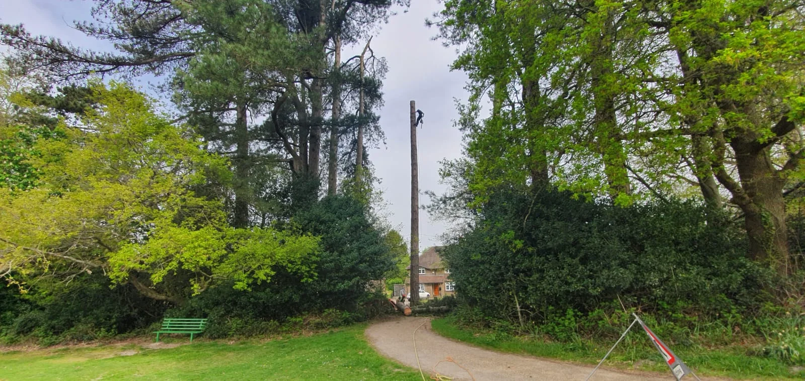 Ben Aldrich Tree Services