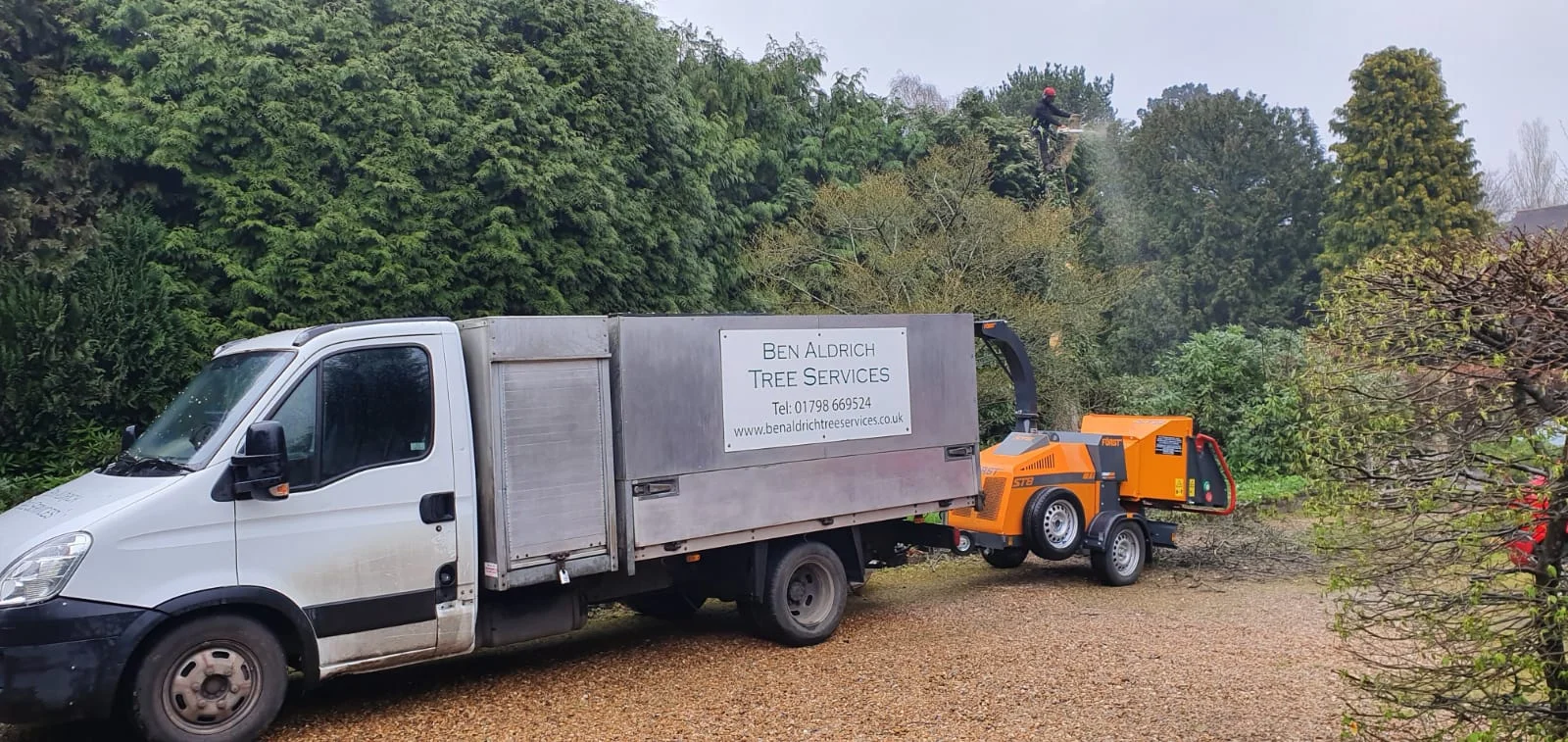 Ben Aldrich Tree Services