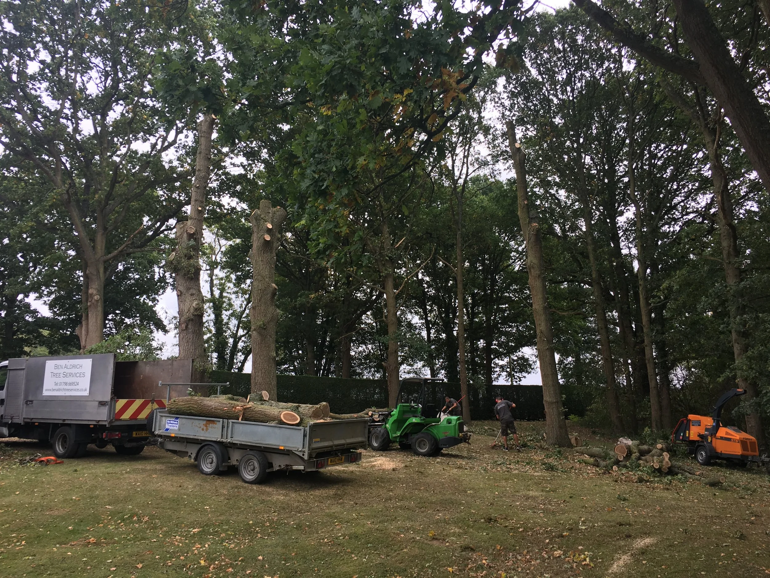Ben Aldrich Tree Services