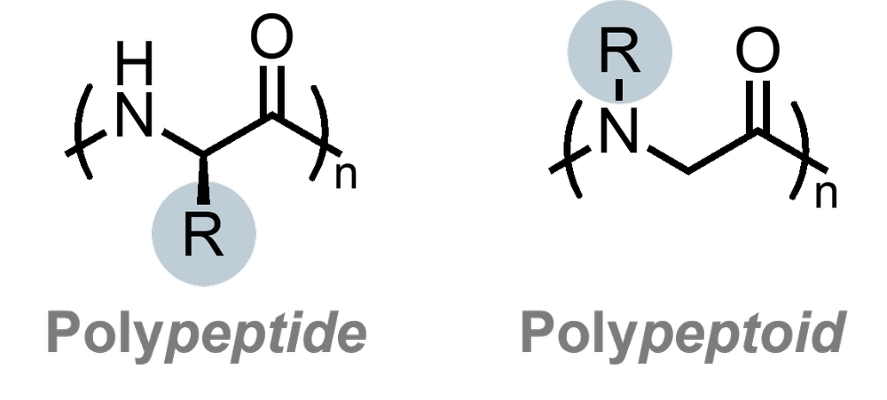 Bio-Inspired Materials — Segalman Group