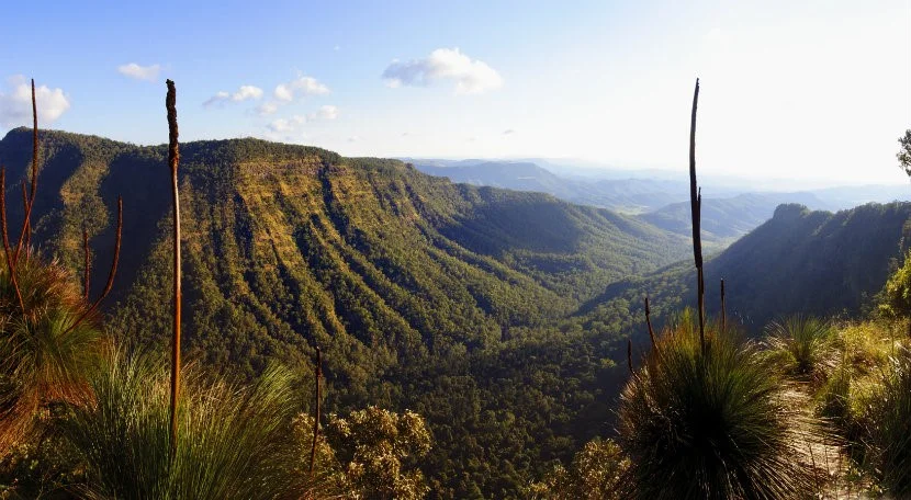 THINGS TO SEE & DO — Numinbah Valley Bush Camping