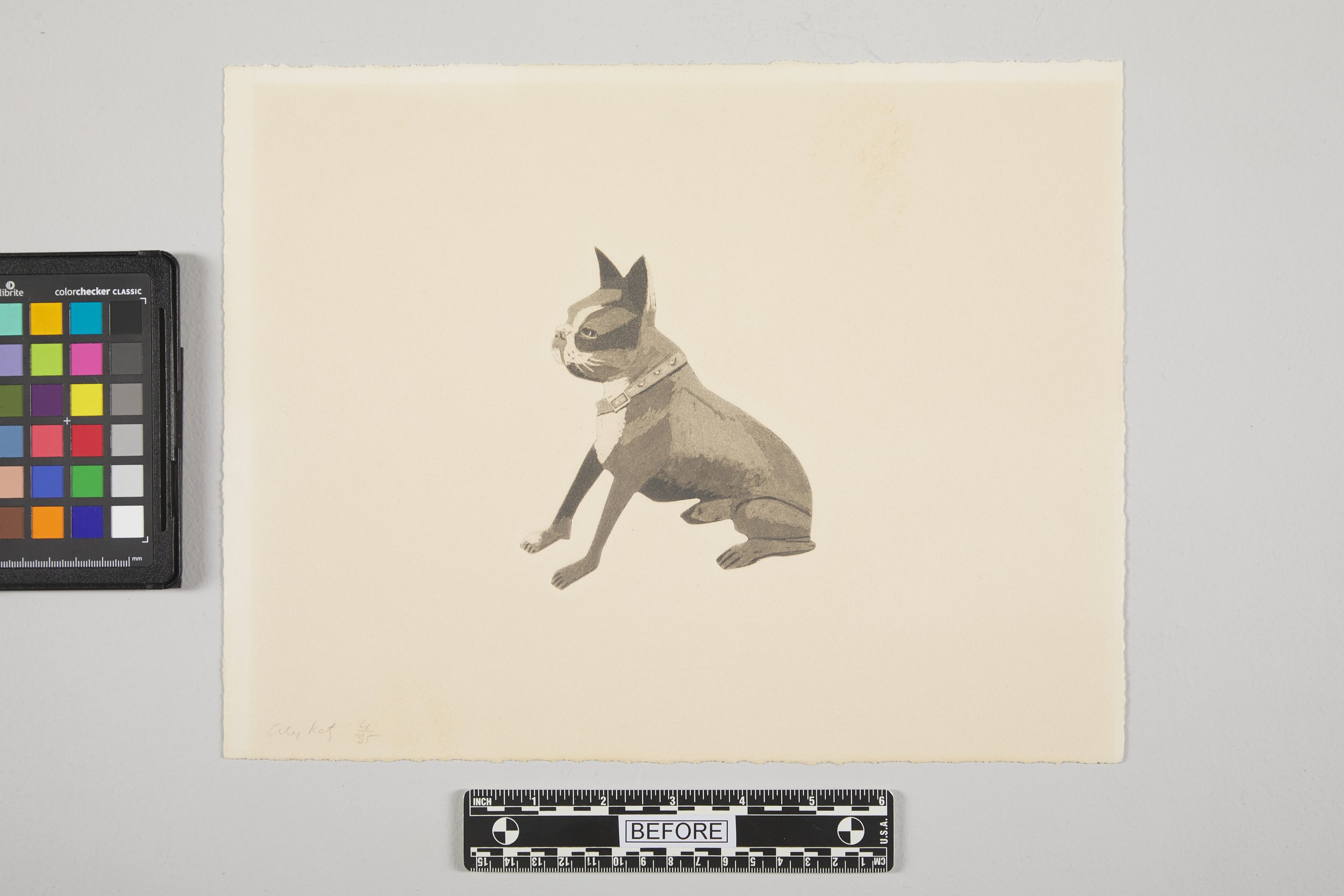 (Alex) Katz and Dogs — The Conservation Center
