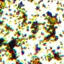 What Is Lead-Tin Yellow? The History and Science Behind a Lost Pigment ...