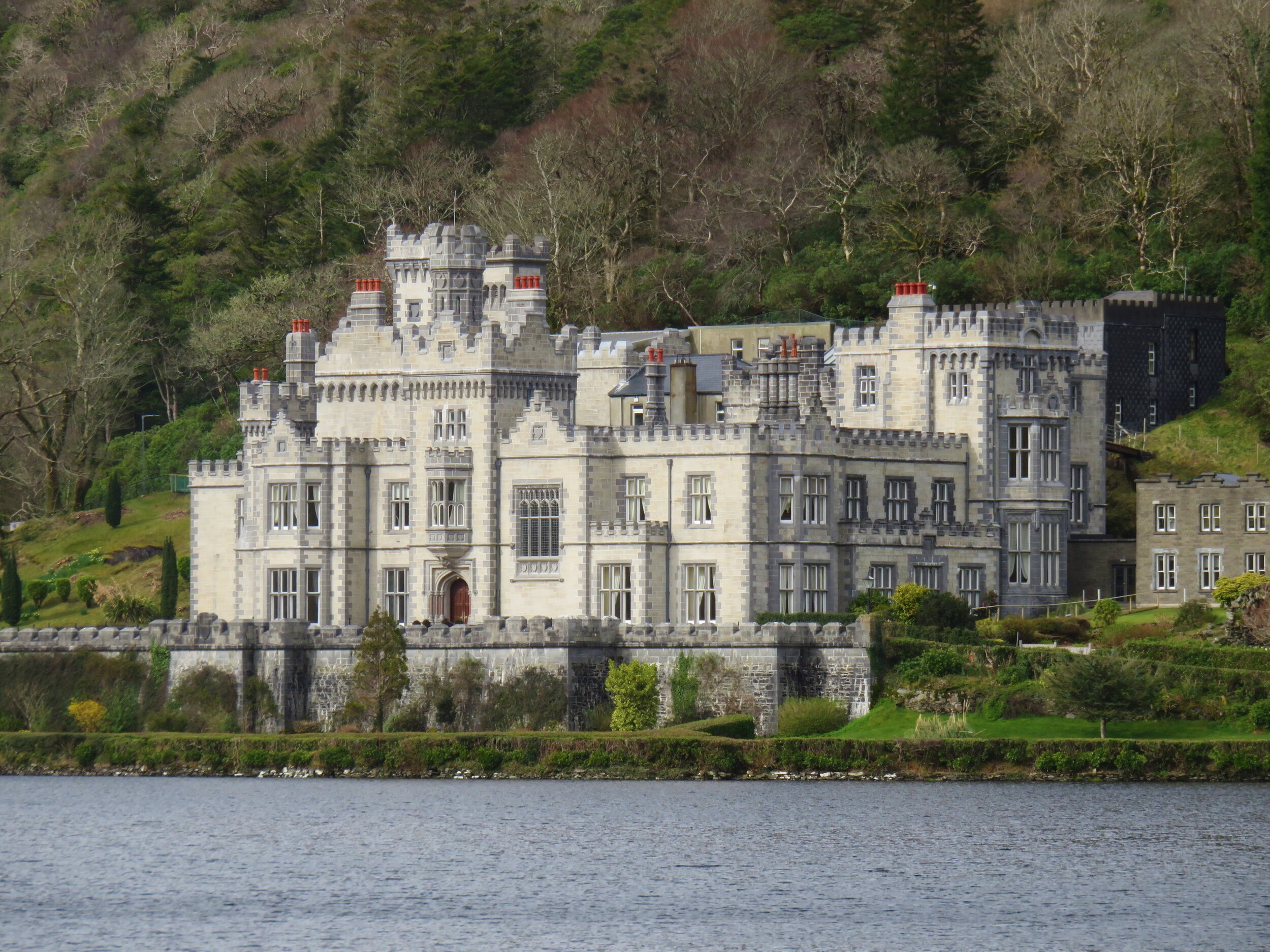 Renewed Light Photography & Design