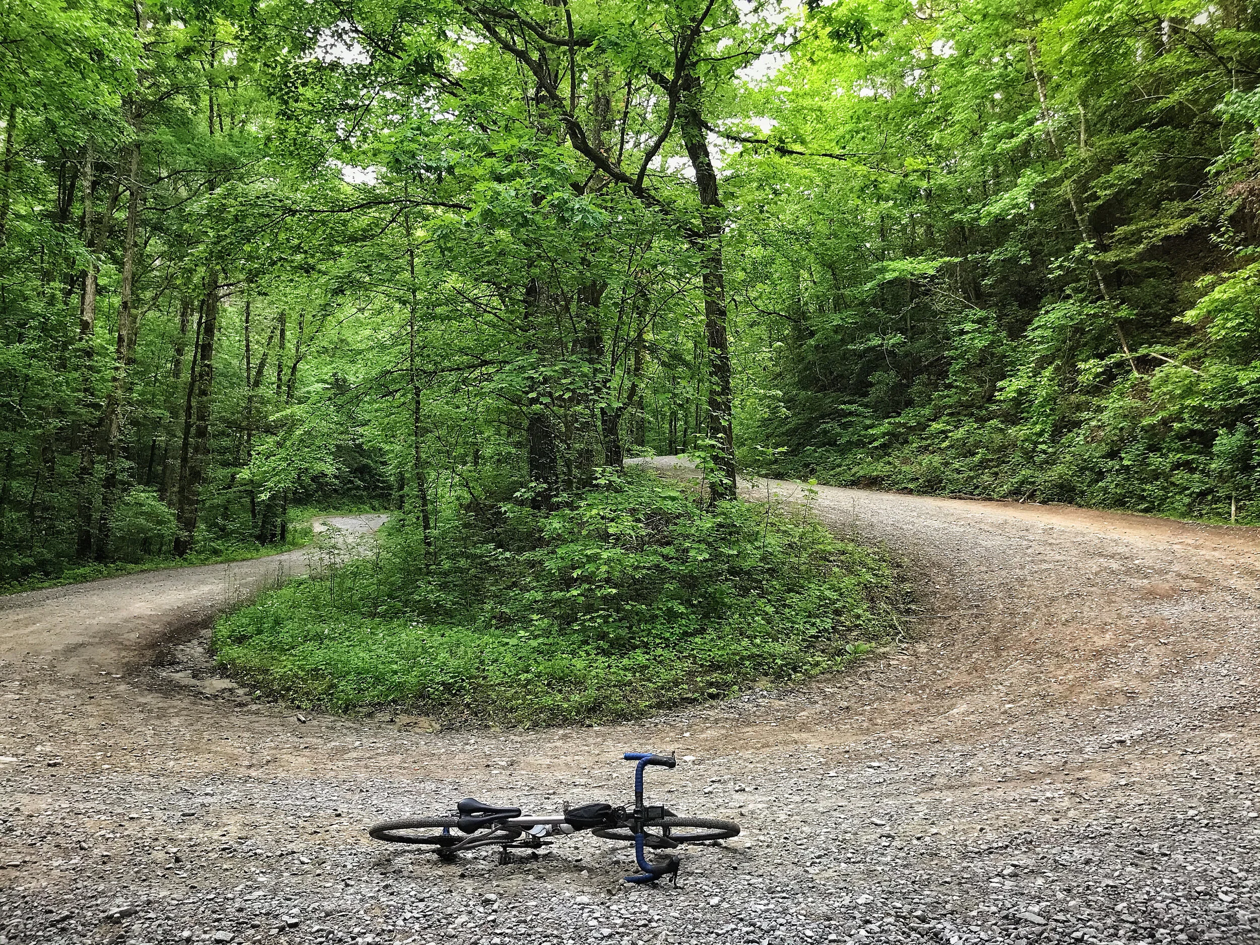 Mulberry Gap Mountain Biking
