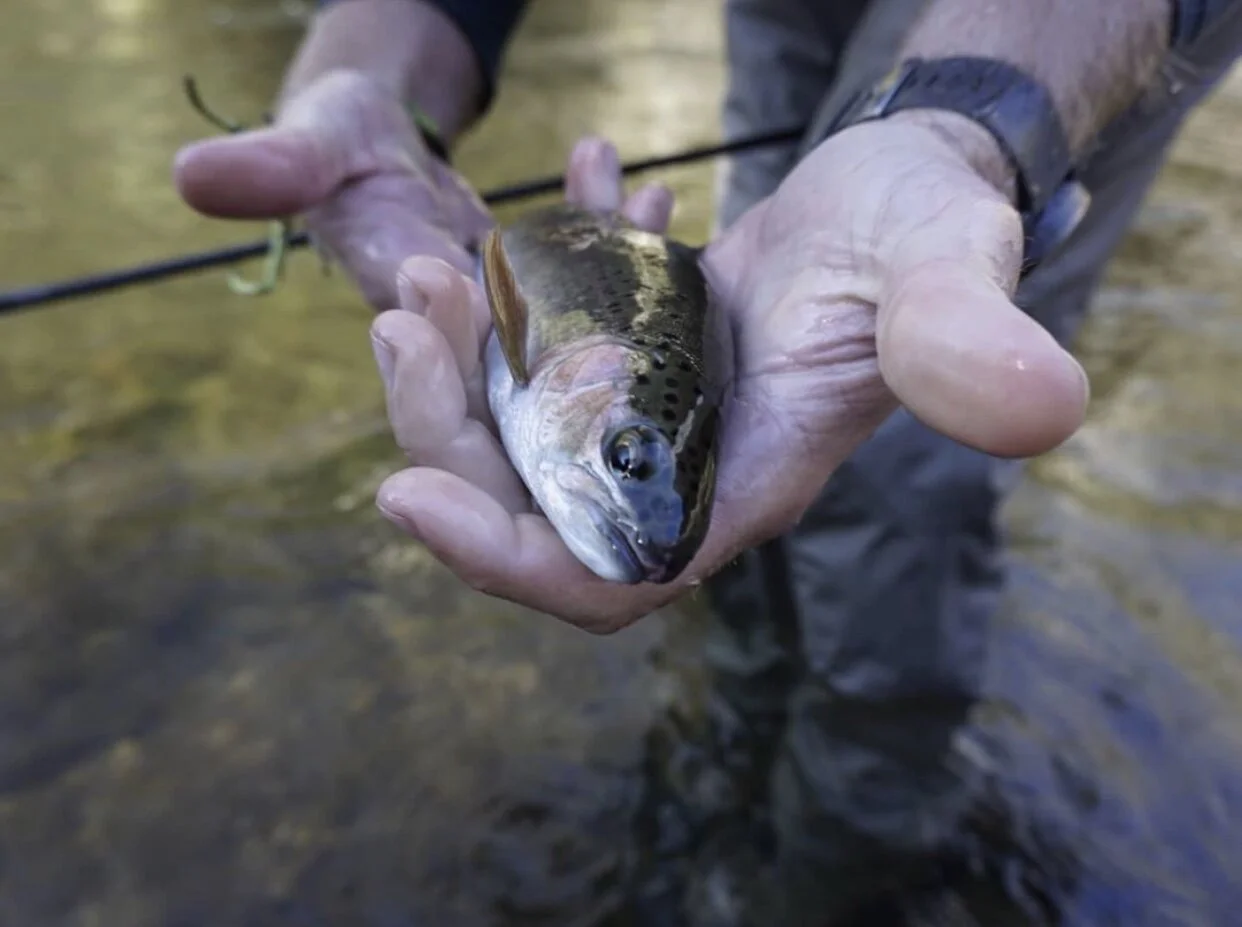 Reel in Adventure: Fishing and Water Adventures at Mulberry Gap ...