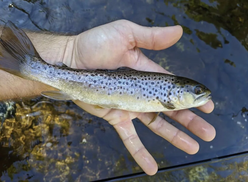 Reel in Adventure: Fishing and Water Adventures at Mulberry Gap ...