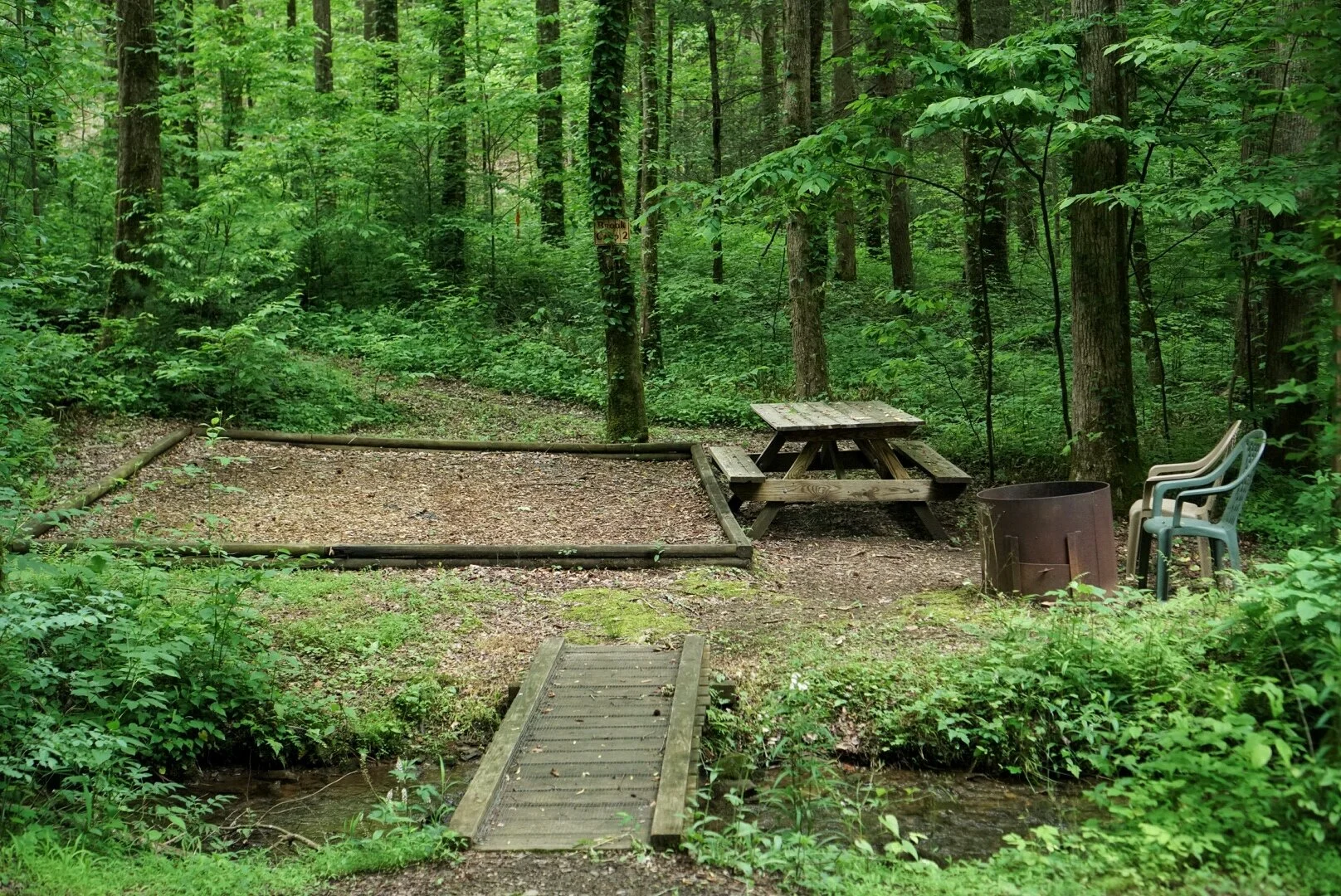 Discover Your Perfect Campsite: Choose Your Pad in the Heart of Nature ...