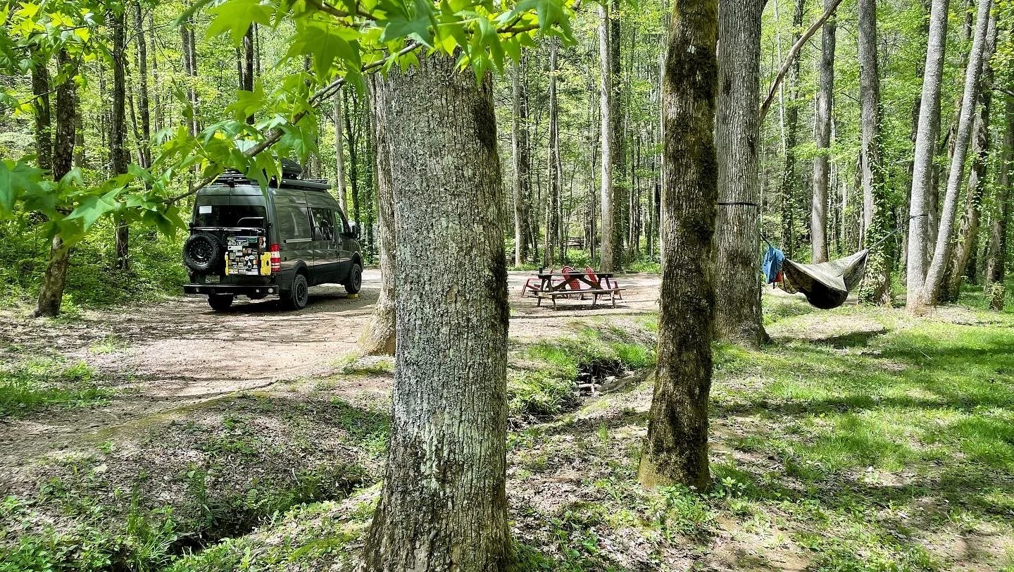 Discover Your Perfect Campsite: Choose Your Pad in the Heart of Nature ...