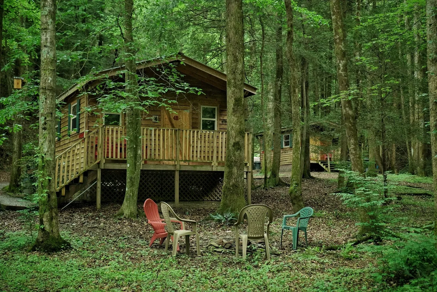 Bear's Lair Gallery — Mulberry Gap
