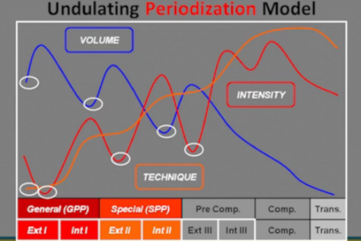 Periodization 301: Review Of Periodization Models — GC Performance Training